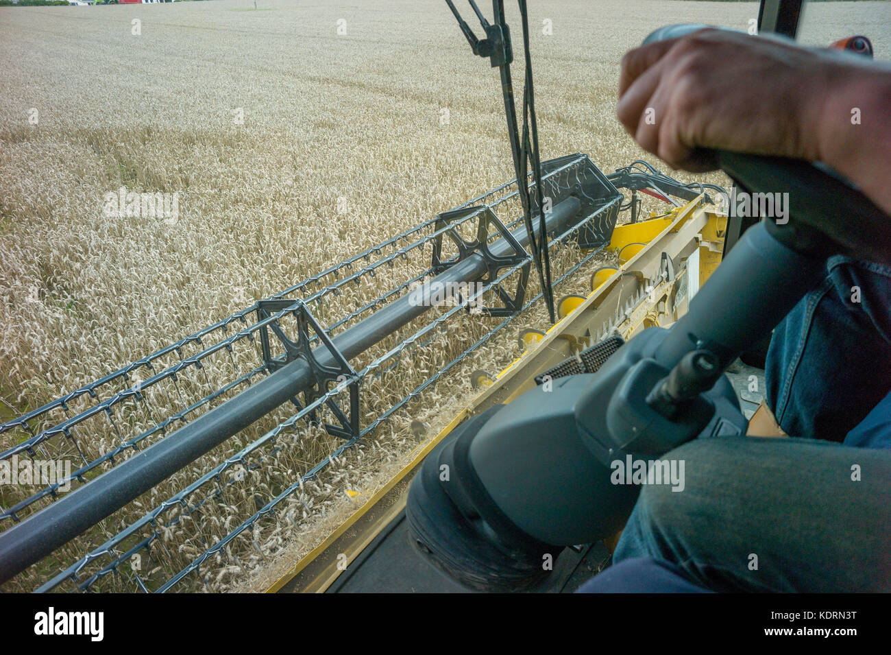 Combine harvester cutting wheat in a small field near Perth in Scotland ...