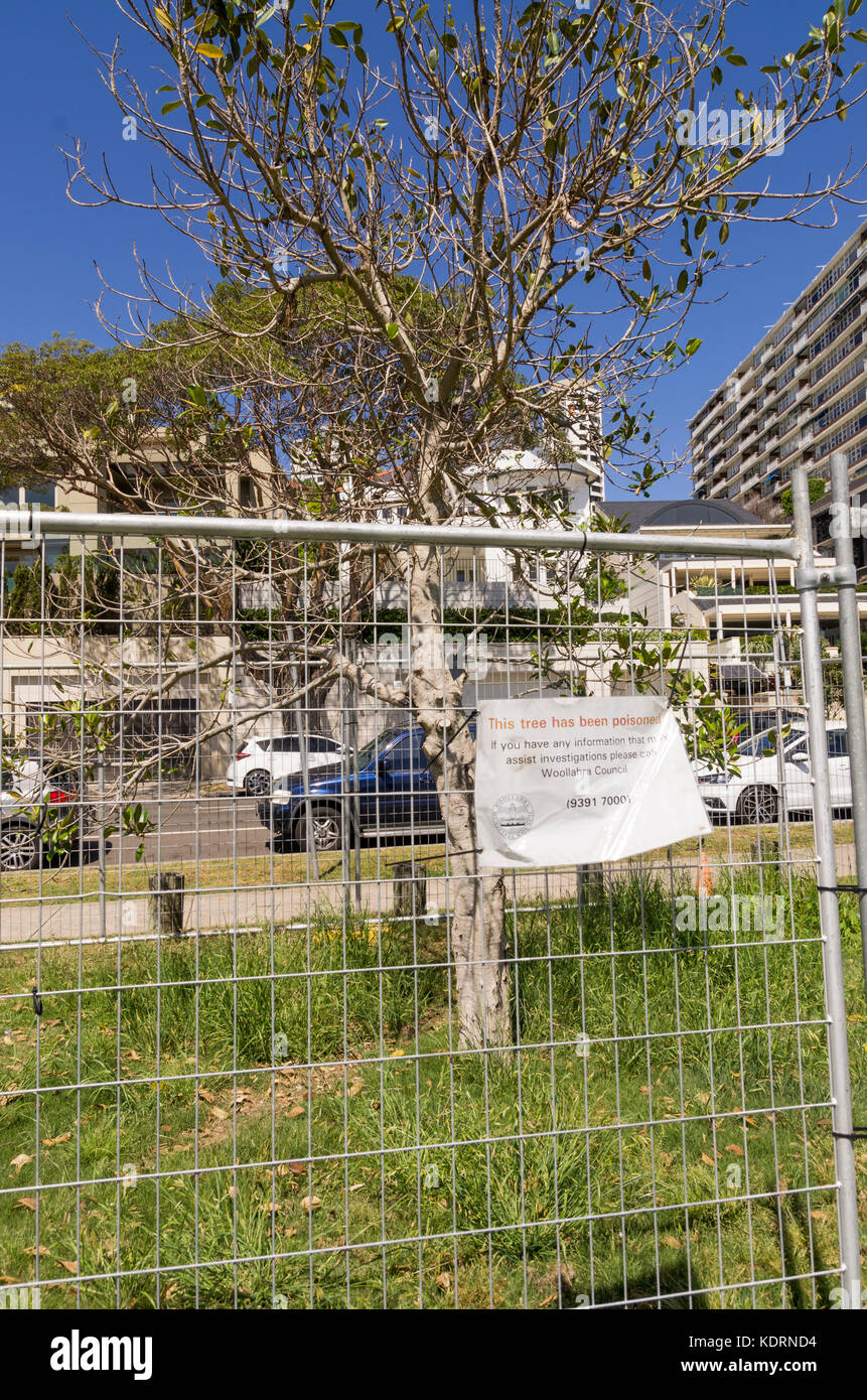 Poisoned tree notice in Rushcutters Bay, Woollahra Council, Sydney ...