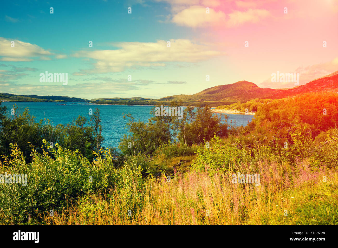 Beautiful fjord, Scandinavian landscape. Nature of Norway Stock Photo ...