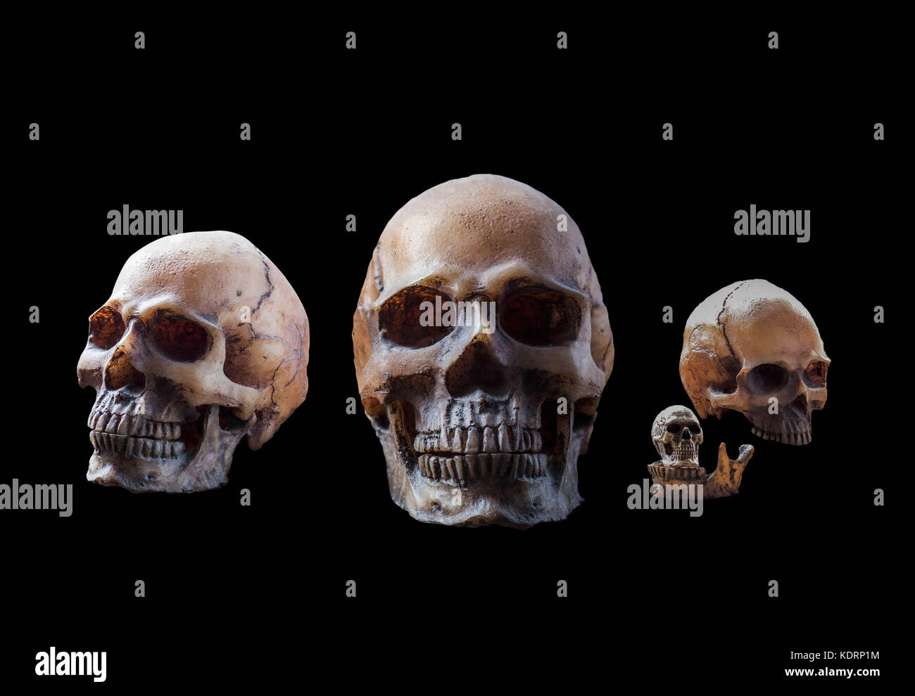 Day of the dead black and white skull hi-res stock photography and ...