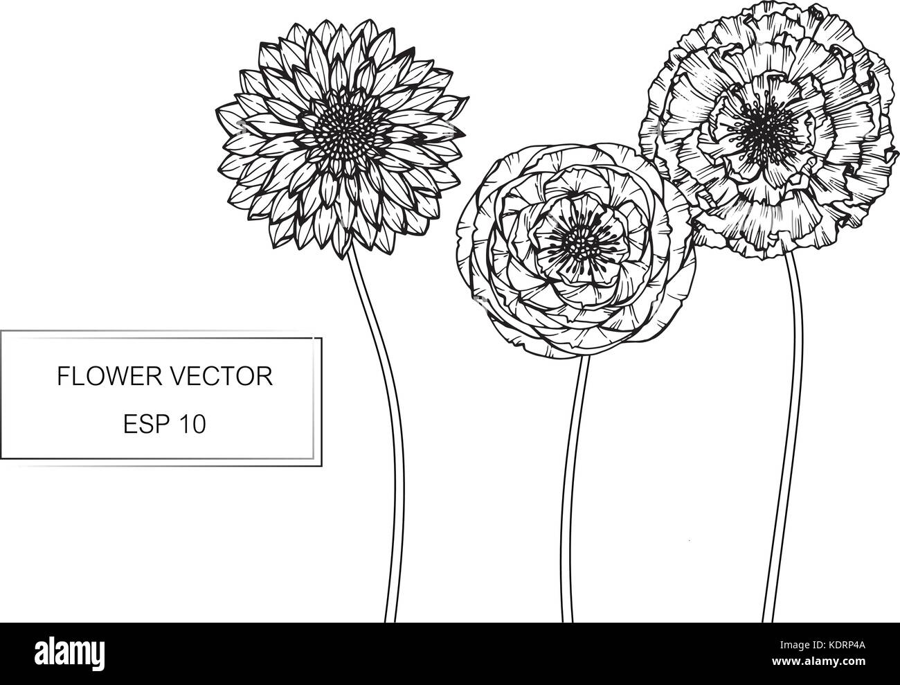 Black and white line Cut Out Stock Images & Pictures - Alamy