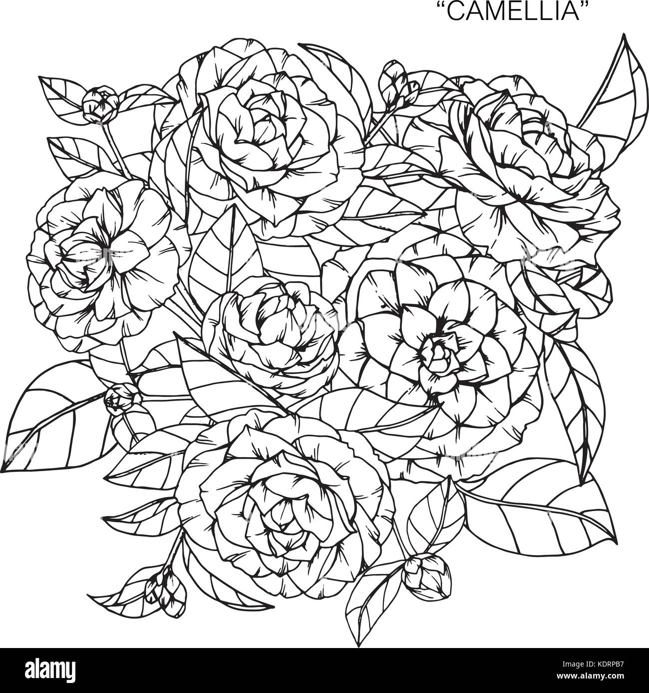 Flower bouquet vintage Cut Out Stock Images & Pictures - Alamy