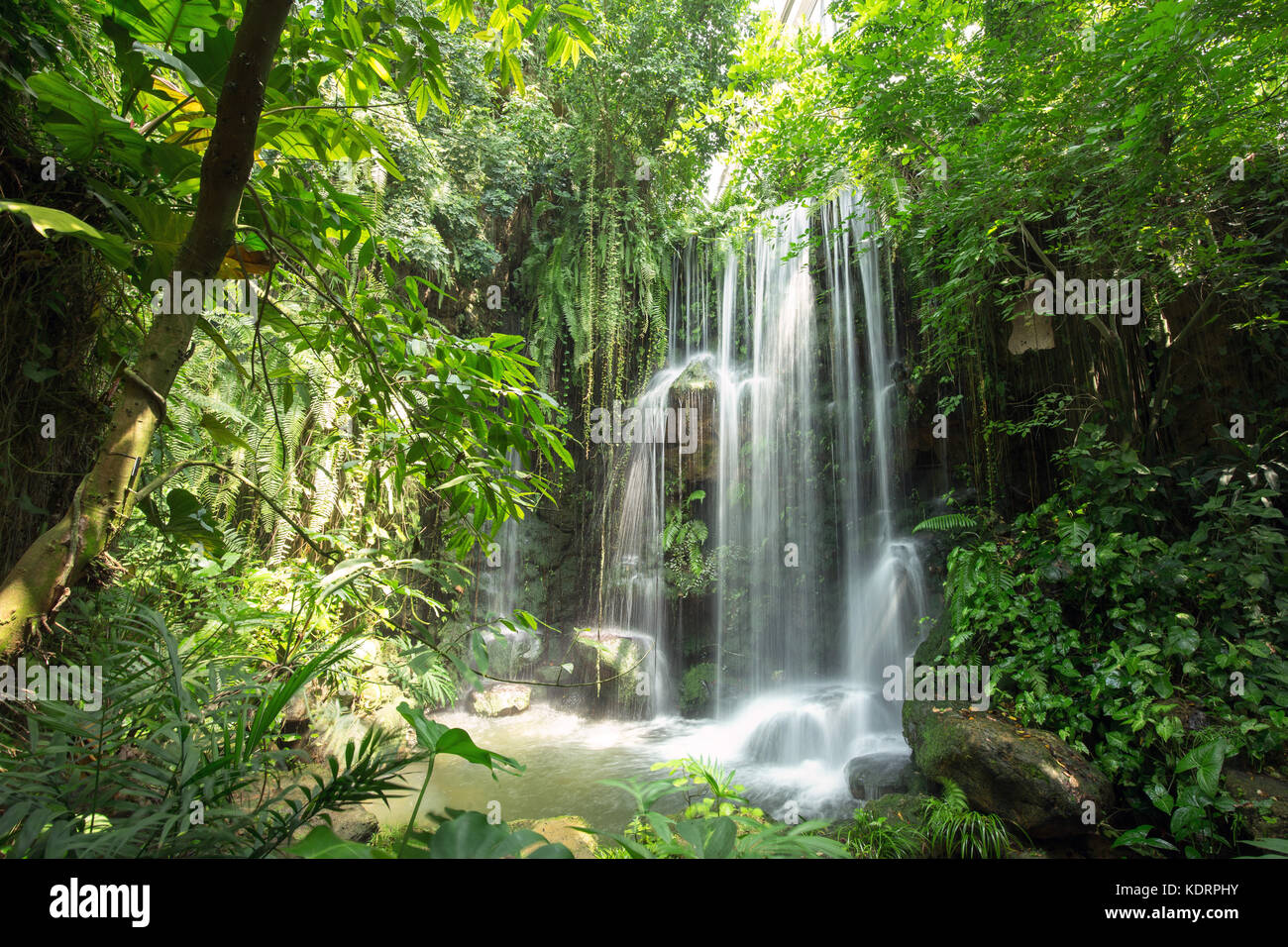 Waterfall in jungle Stock Photo - Alamy