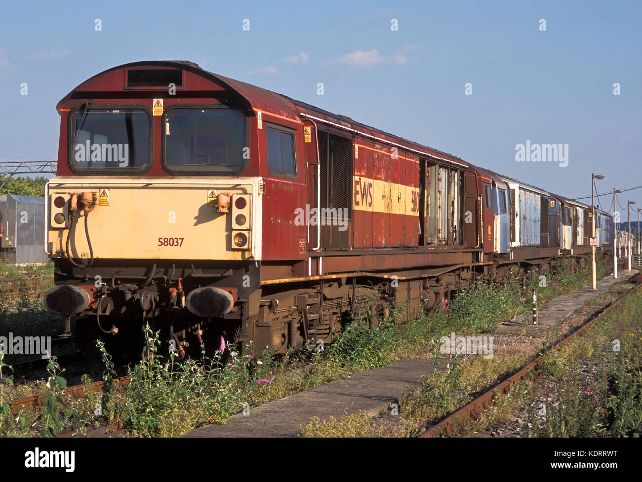 A line up of Class 58 locomotives at Eastleigh Depot in England Stock ...