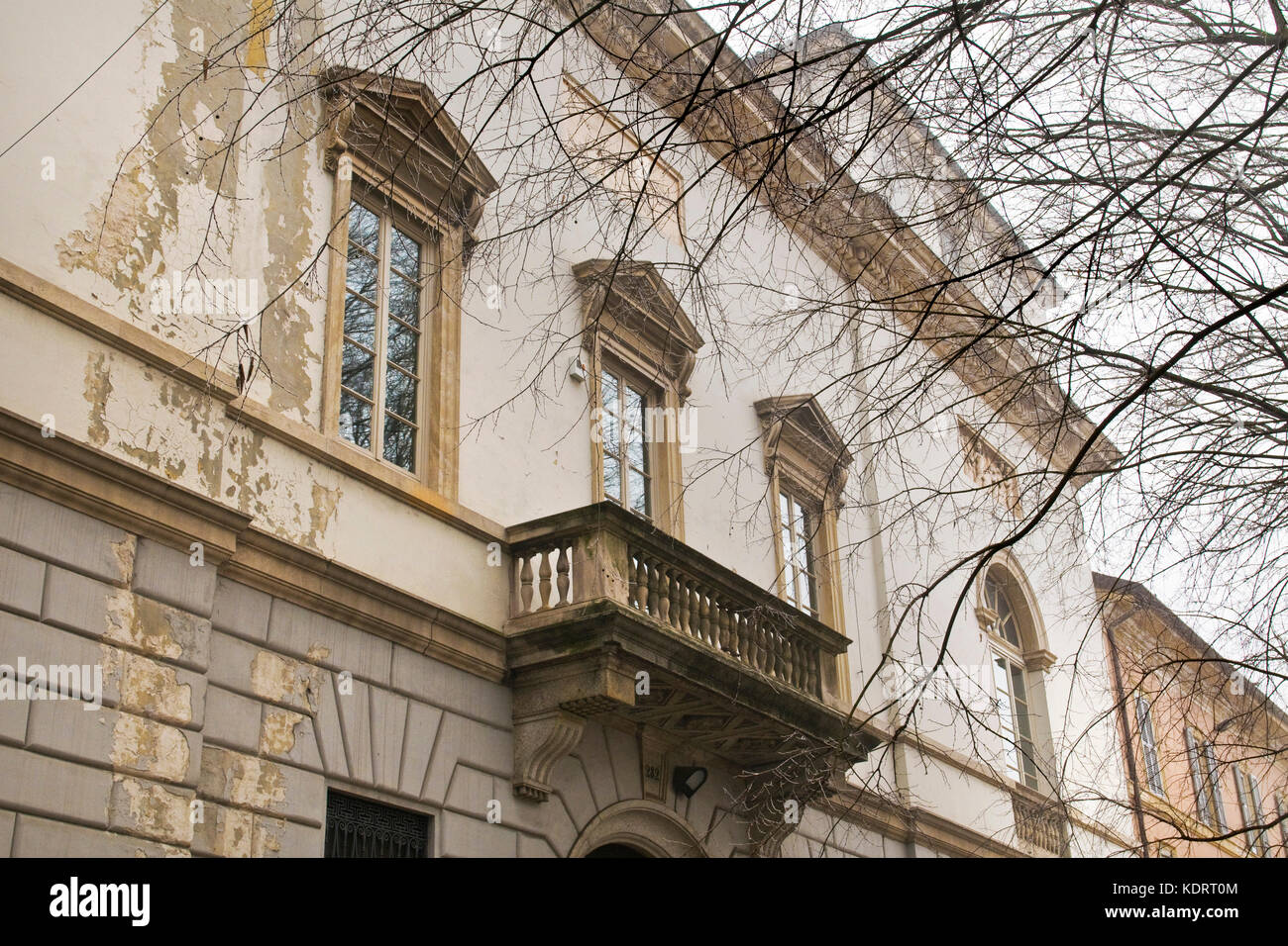 Bonetta hi-res stock photography and images - Alamy