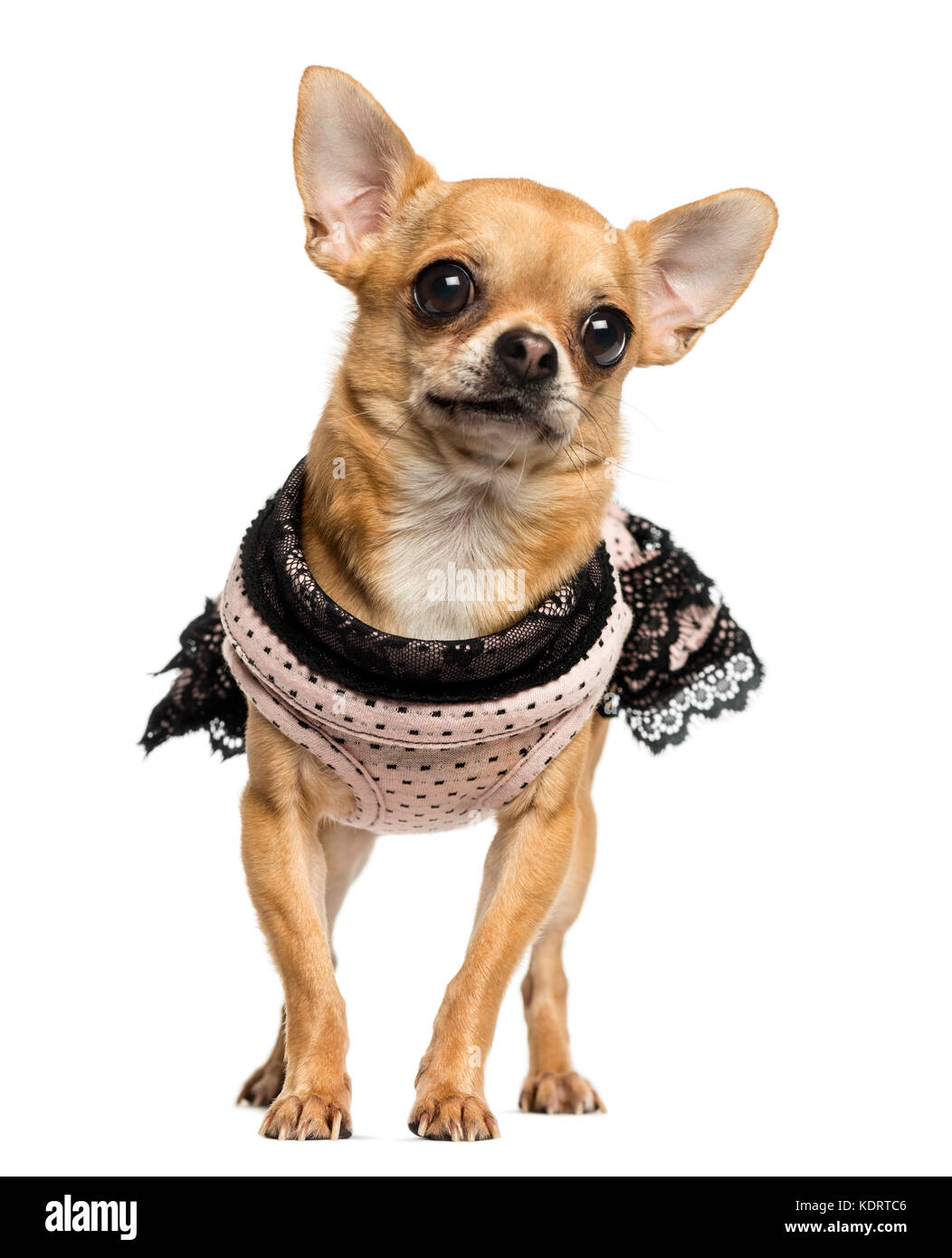 Lace up dress Cut Out Stock Images & Pictures - Alamy