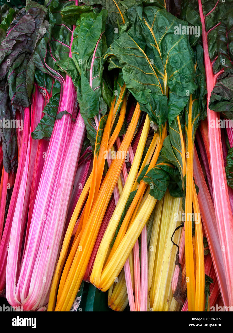 Chard - a leafy green vegetable with colorful stems often used in ...