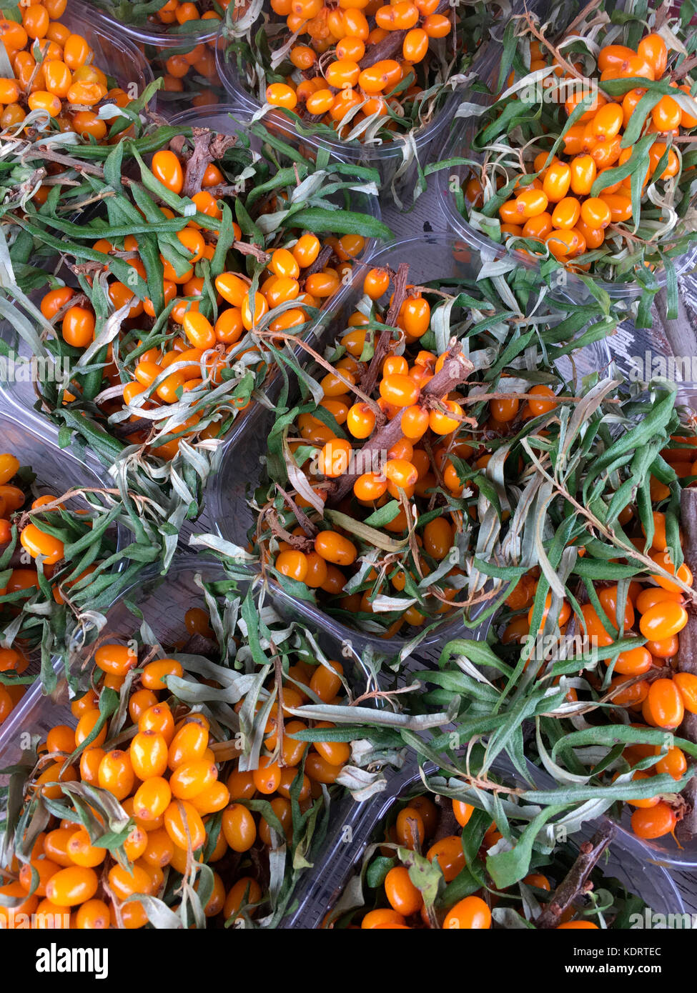 Sea Buck Thorn (Tyrnimarja) on a market stall in Germany Stock Photo ...