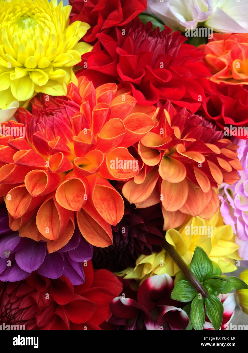 A bunch of colorful flowers Stock Photo - Alamy