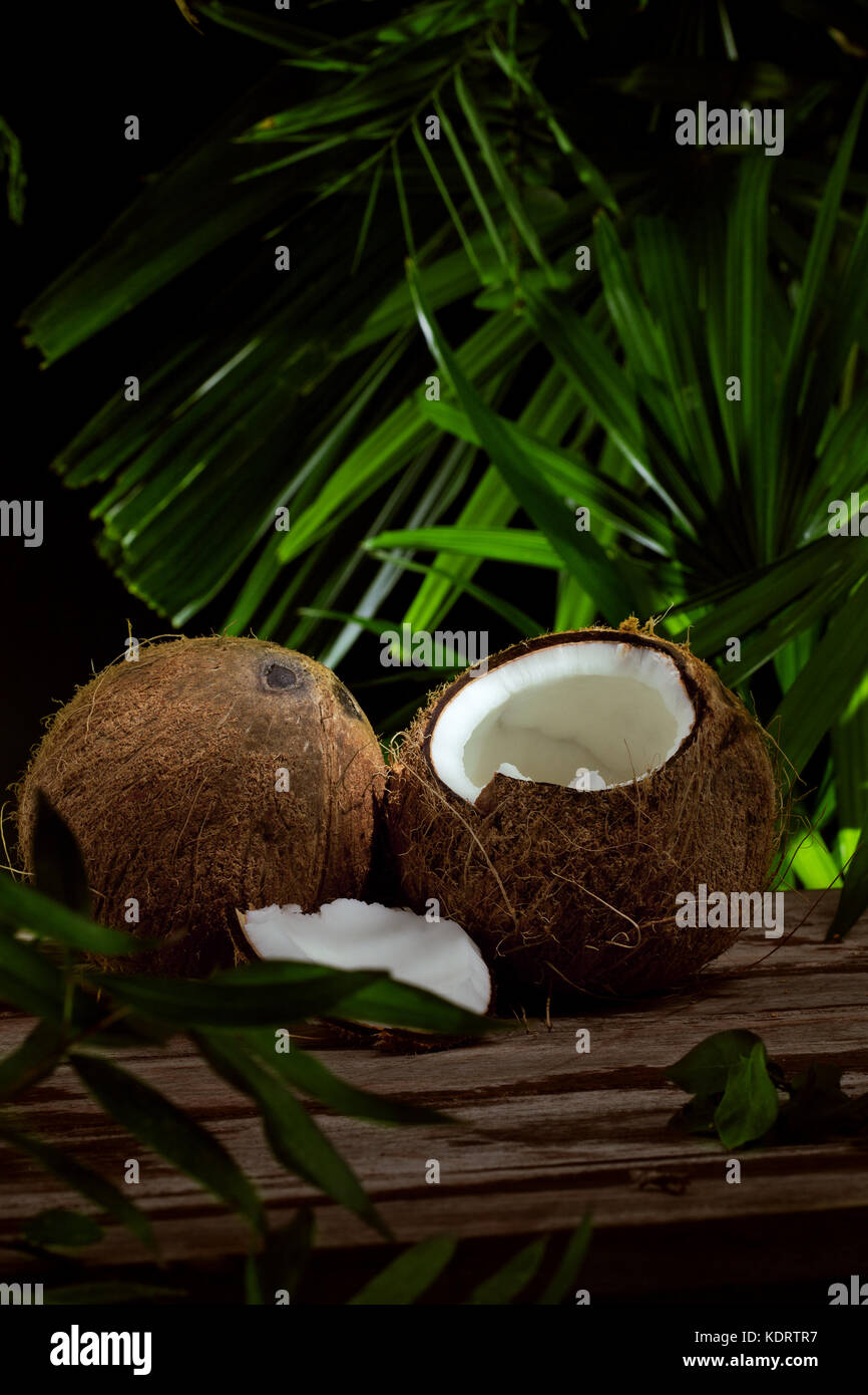 Jungle nut hi-res stock photography and images - Alamy