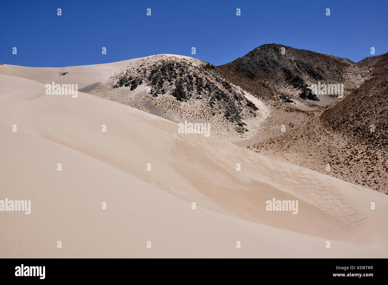 Argentina, Salta region, Puna desert Stock Photo - Alamy