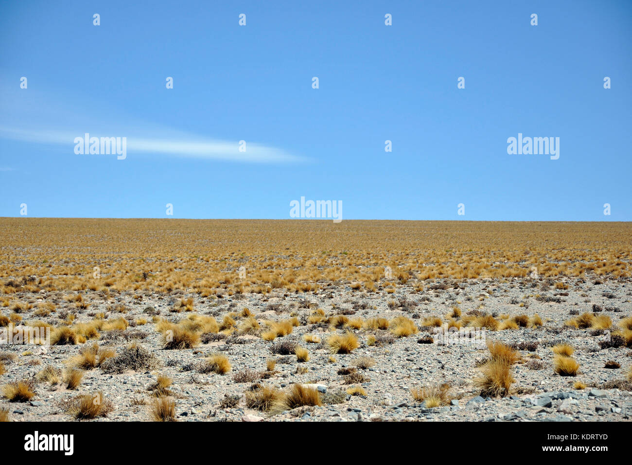 Argentina, Salta region, Puna desert Stock Photo - Alamy
