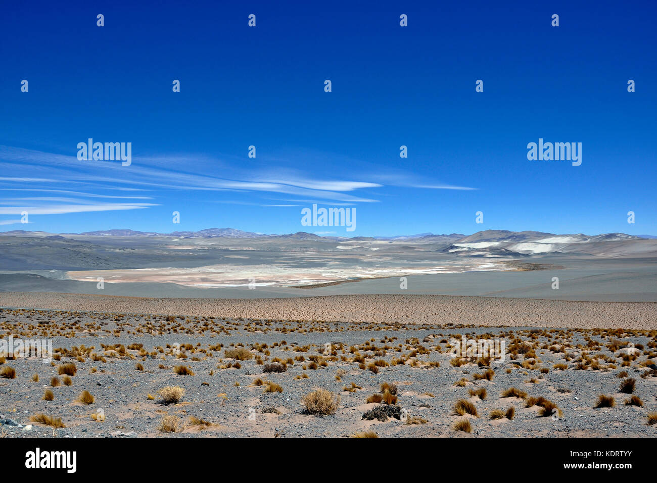 Argentina, Salta region, Puna desert Stock Photo - Alamy