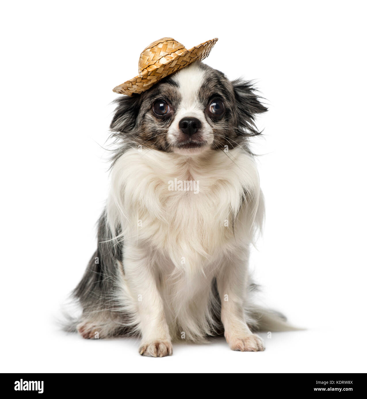 Wearing straw hat Cut Out Stock Images & Pictures - Alamy