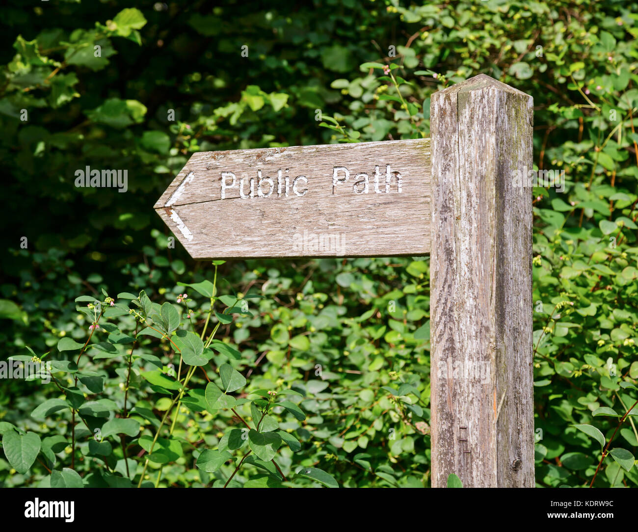 Weathered wooden sign post pointing to Public Path Stock Photo - Alamy