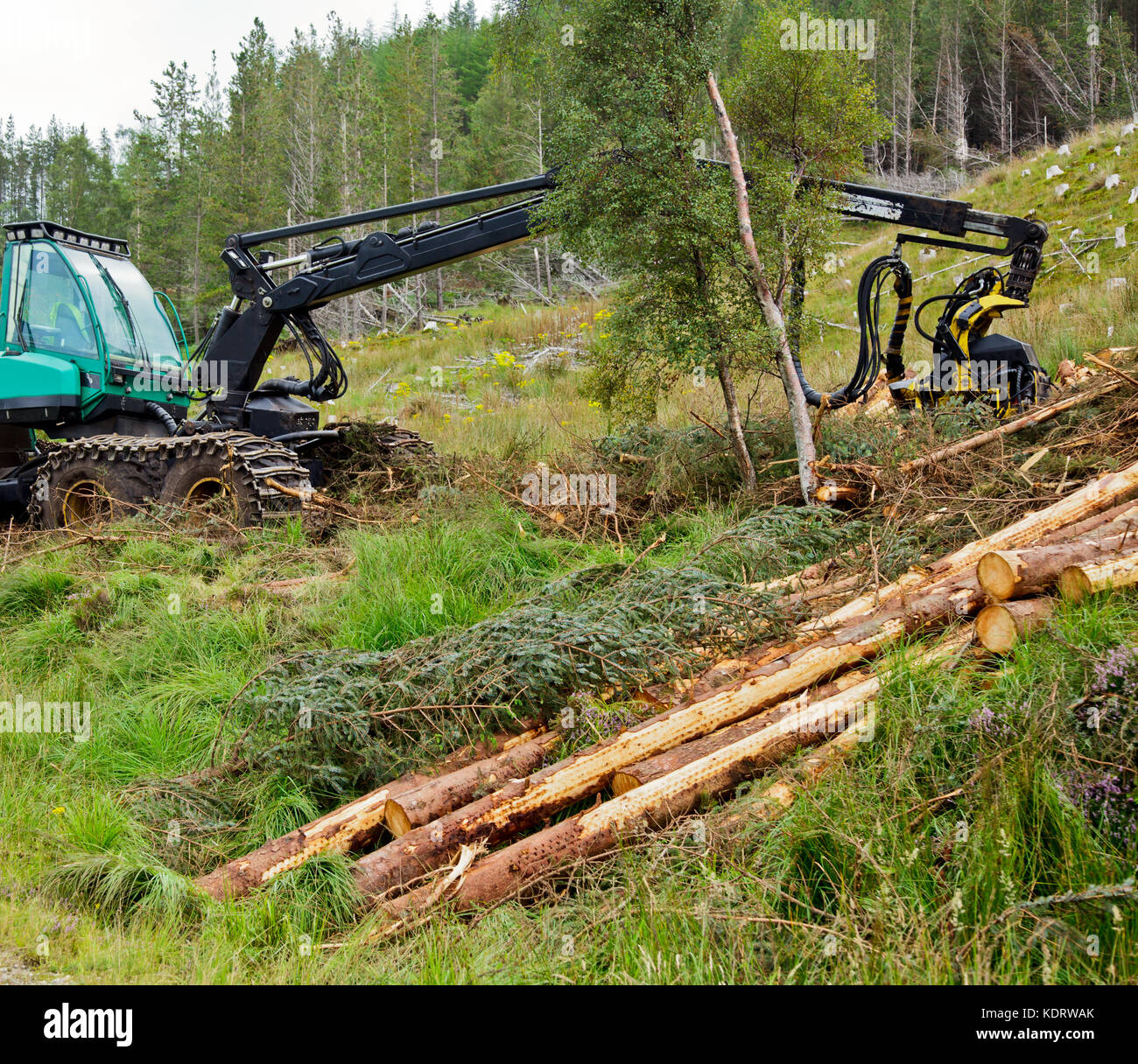 Heavy forestry vehicle harvester employed in cut-to-length logging ...