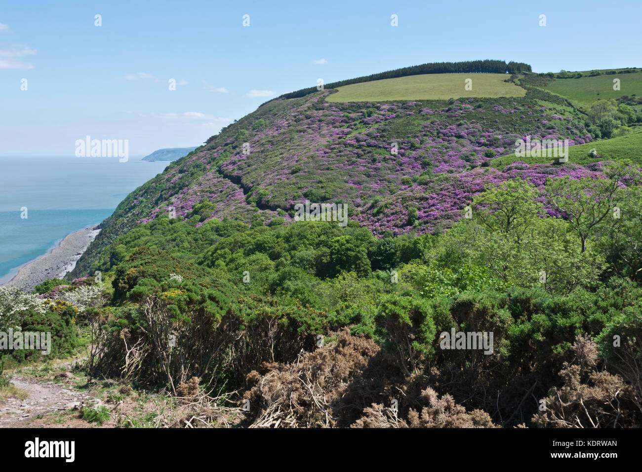 scenic view along the North Devon coast from Desolation Point looking ...