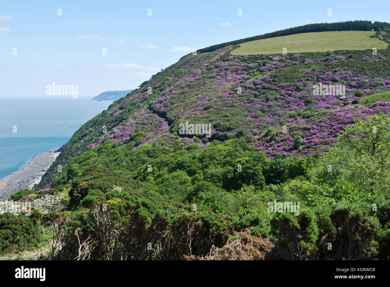 scenic view along the North Devon coast from Desolation Point looking ...