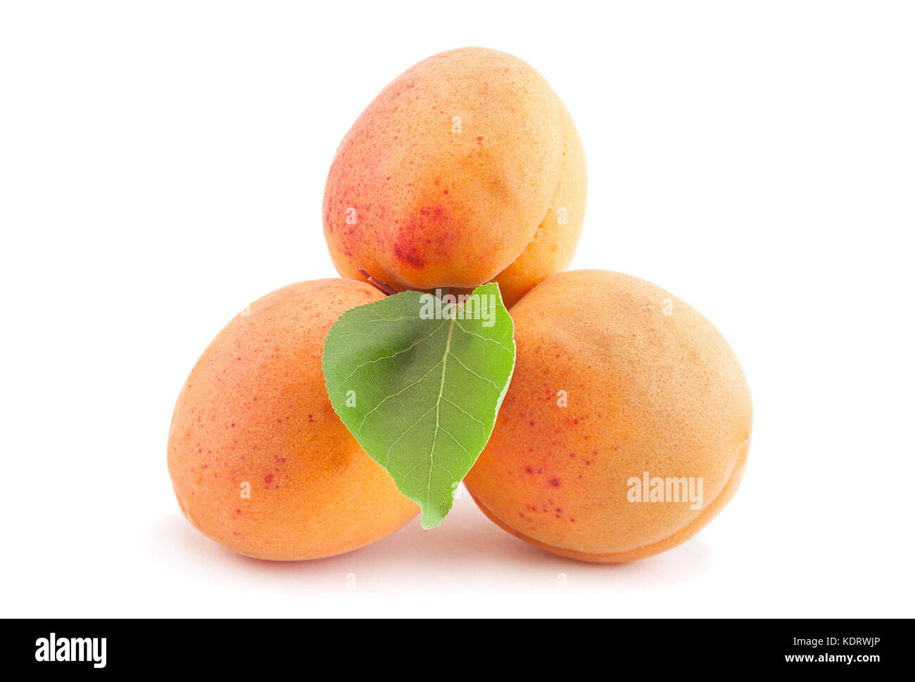 Apricot fruit closeup isolated on white background Stock Photo - Alamy