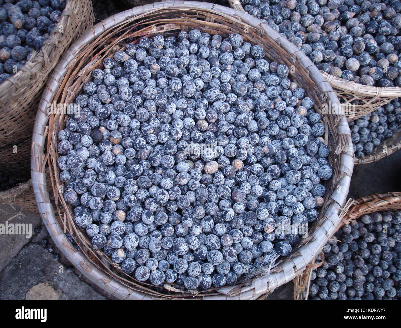 Baskets of bacaba fruit, acai cousin, being sold at acai market, in ...