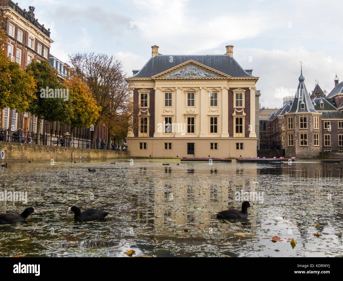 Vermeer mauritshuis hi-res stock photography and images - Alamy