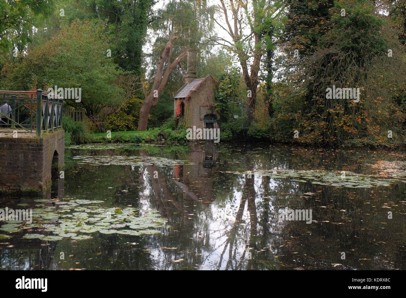 view point over lily pond Stock Photo - Alamy