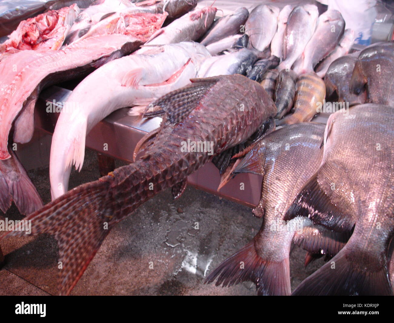 Belem brazil fish market hi-res stock photography and images - Alamy