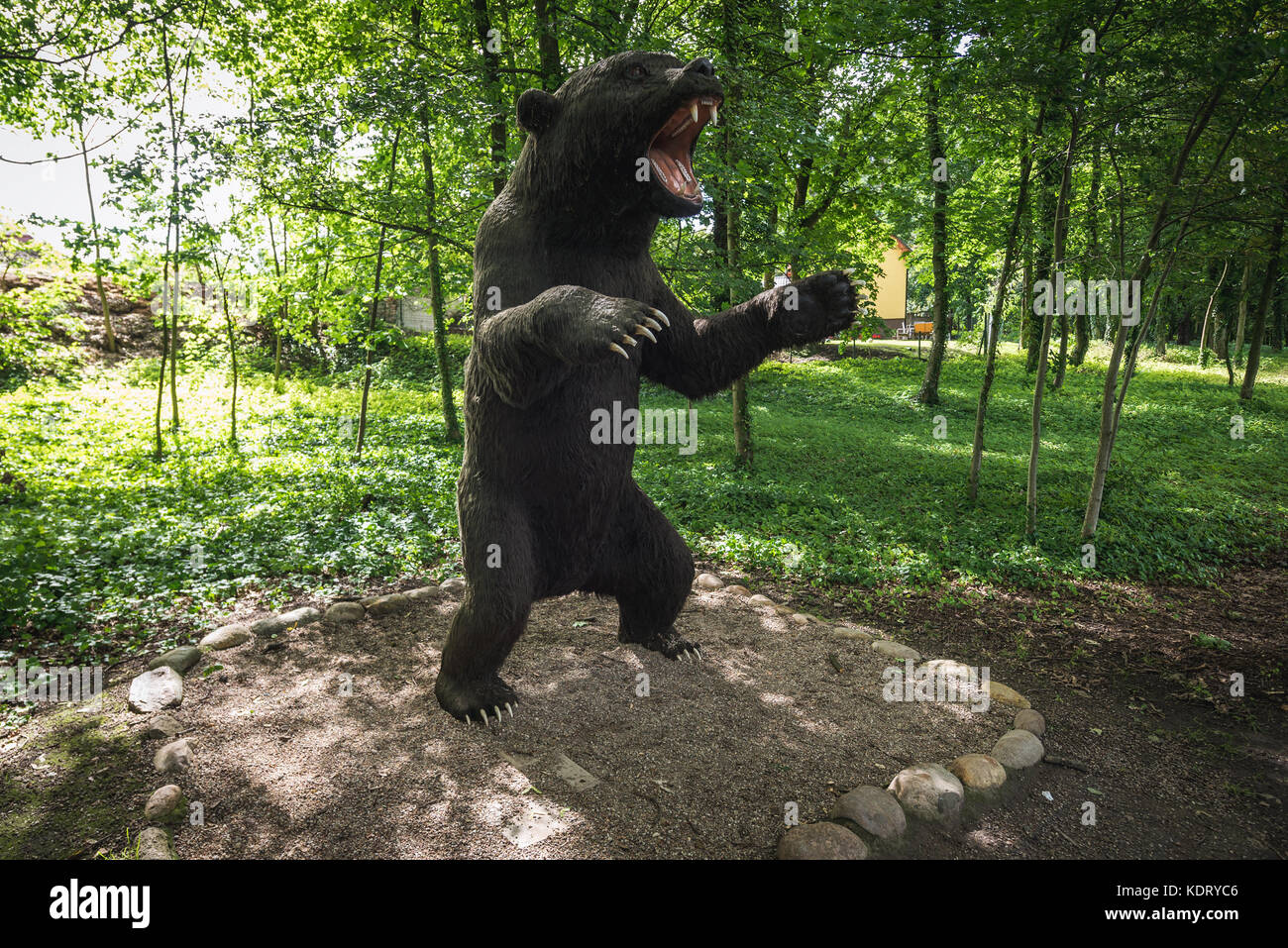Model of extinct specie Ursus spelaeus - Cave bear in geopark called ...