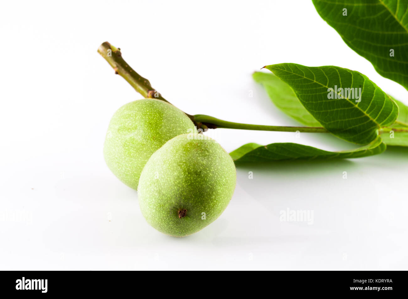 Closeup of Isolated fresh walnuts on white background Stock Photo - Alamy