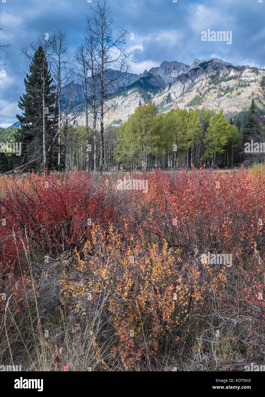 Autumn in the Rockies Stock Photo - Alamy