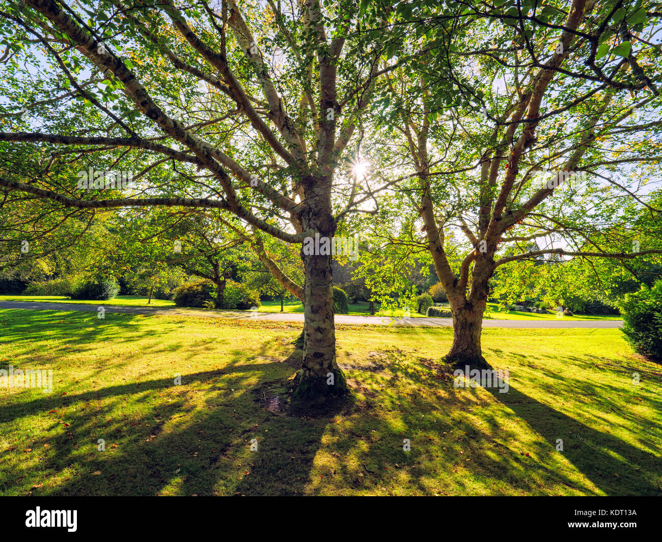 Early Autumn countryside morning,Northern Ireland Stock Photo - Alamy