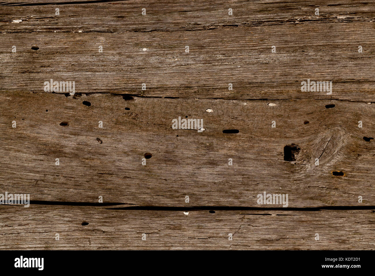 Old tree background Stock Photo - Alamy