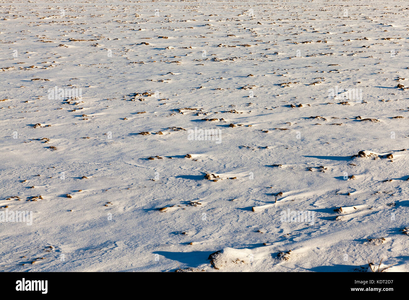 Snow covered soil visible hi-res stock photography and images - Alamy