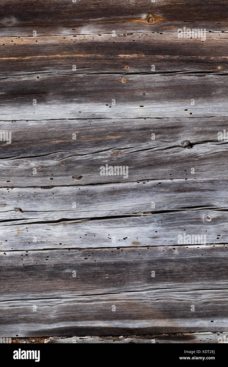 Background of old tree Stock Photo - Alamy