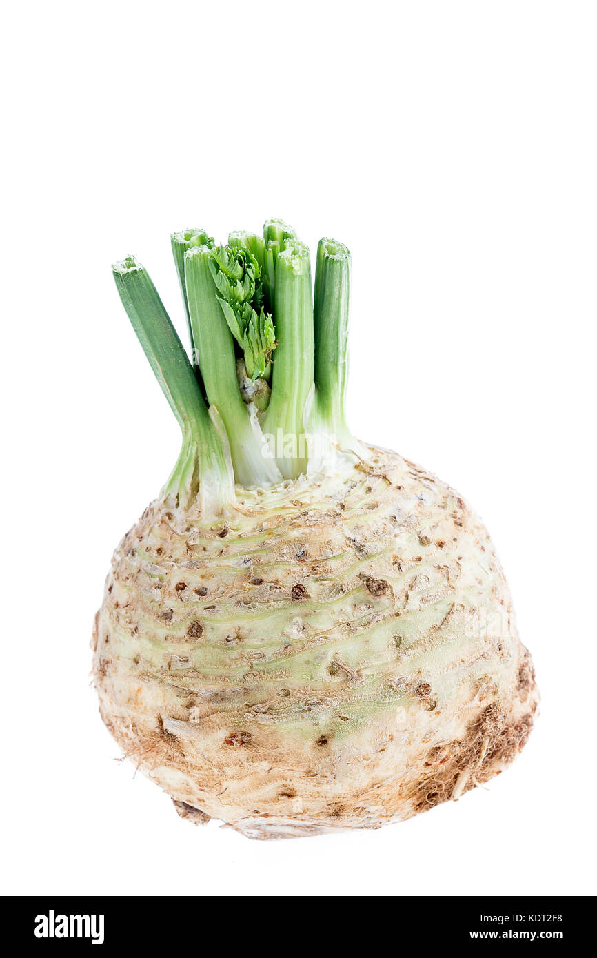 fresh celery root isolated on whhite background Stock Photo - Alamy