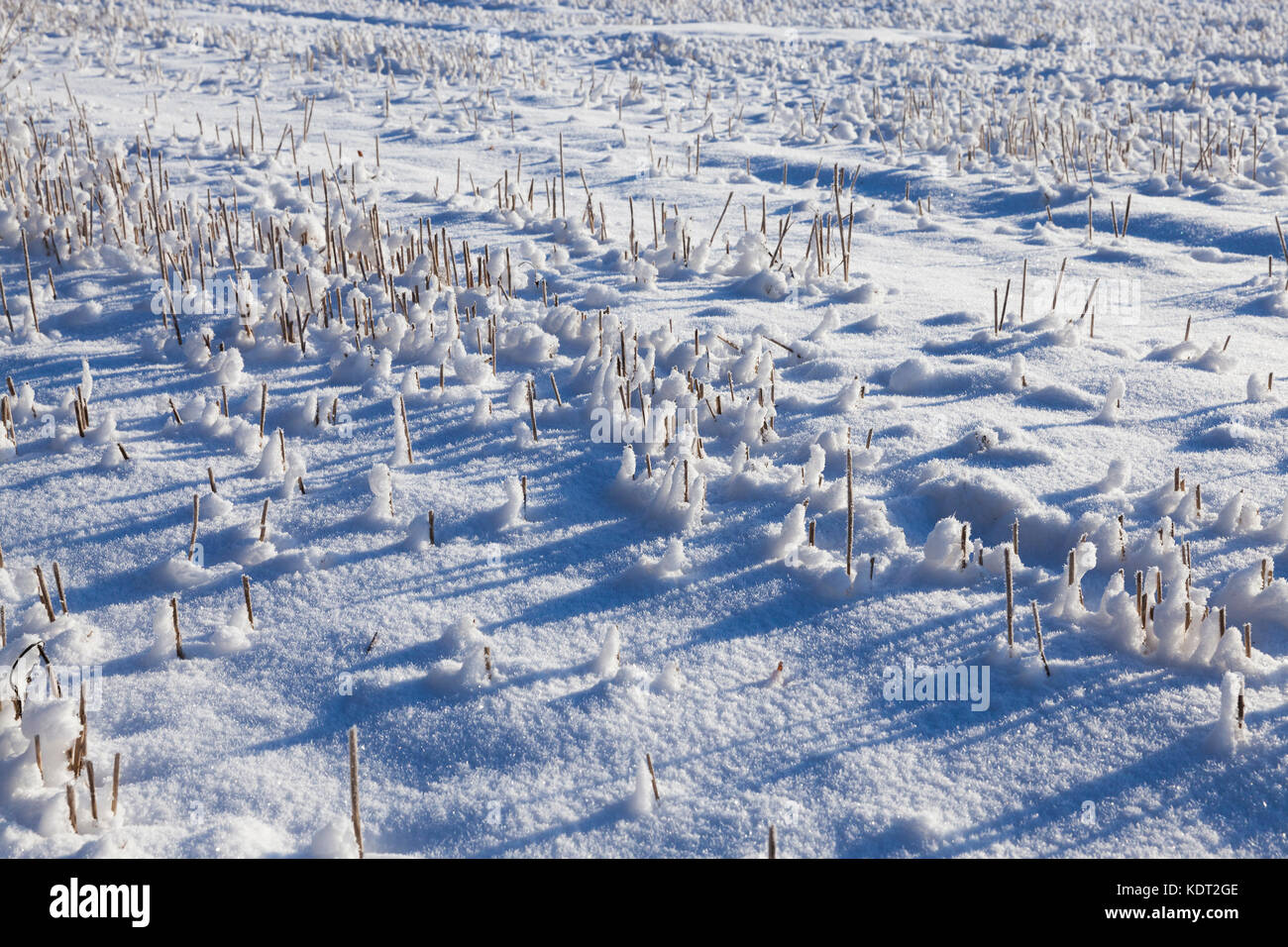 Snow drifts in winter Stock Photo - Alamy