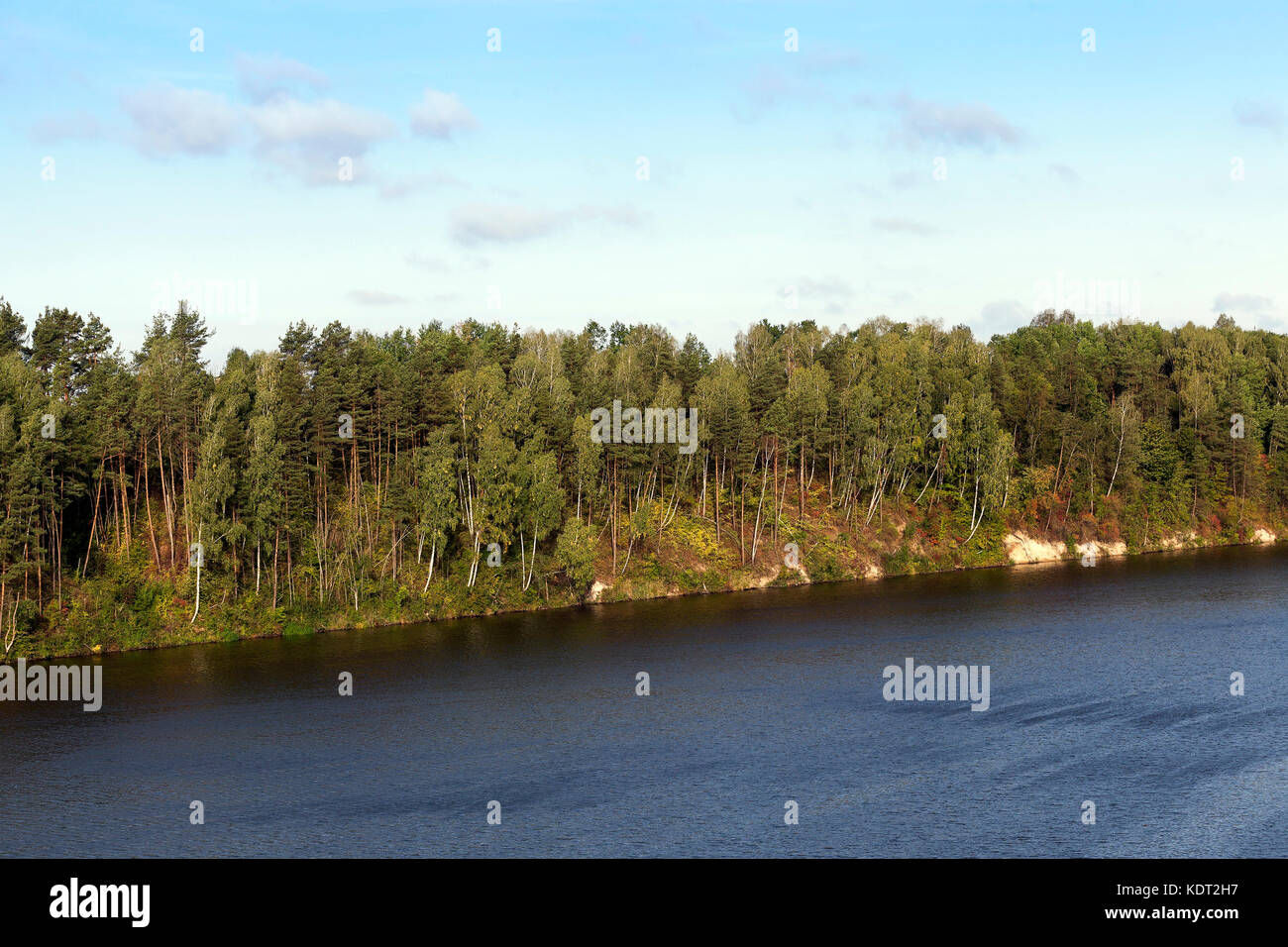 Trees near the river Stock Photo - Alamy