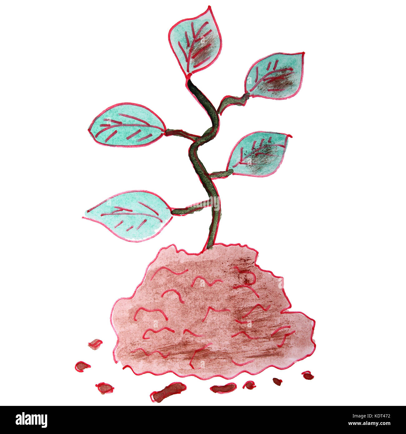 drawing cartoon kids watercolor sprout on a white background Stock ...