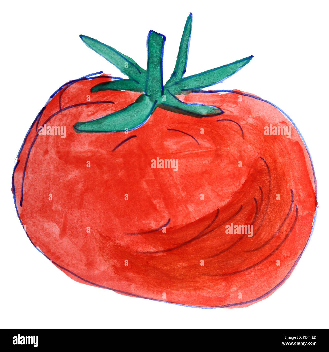 watercolor drawing kids cartoon tomato on a white background Stock ...