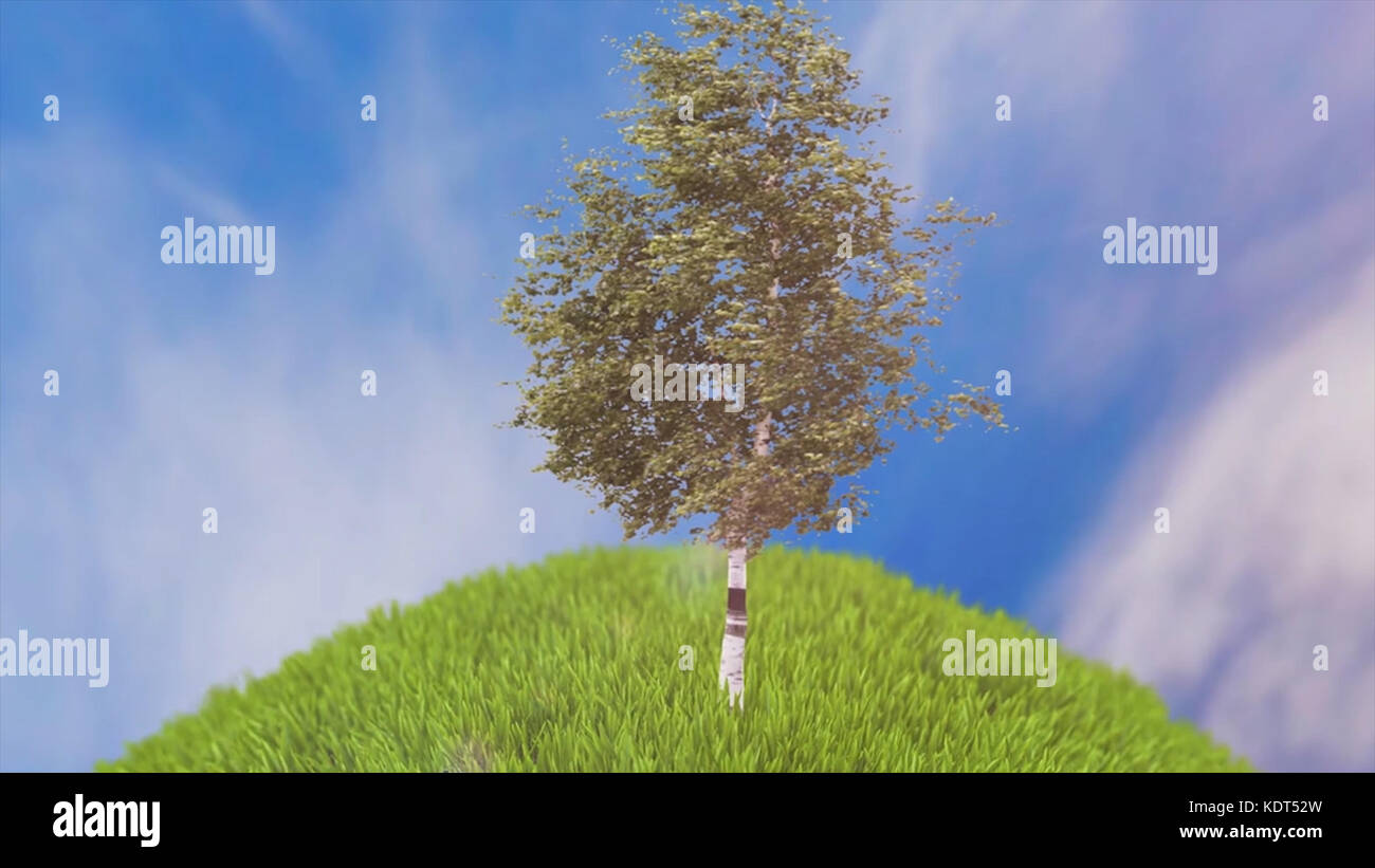 Birch in the meadow animation. Single birch tree standing on lake ...