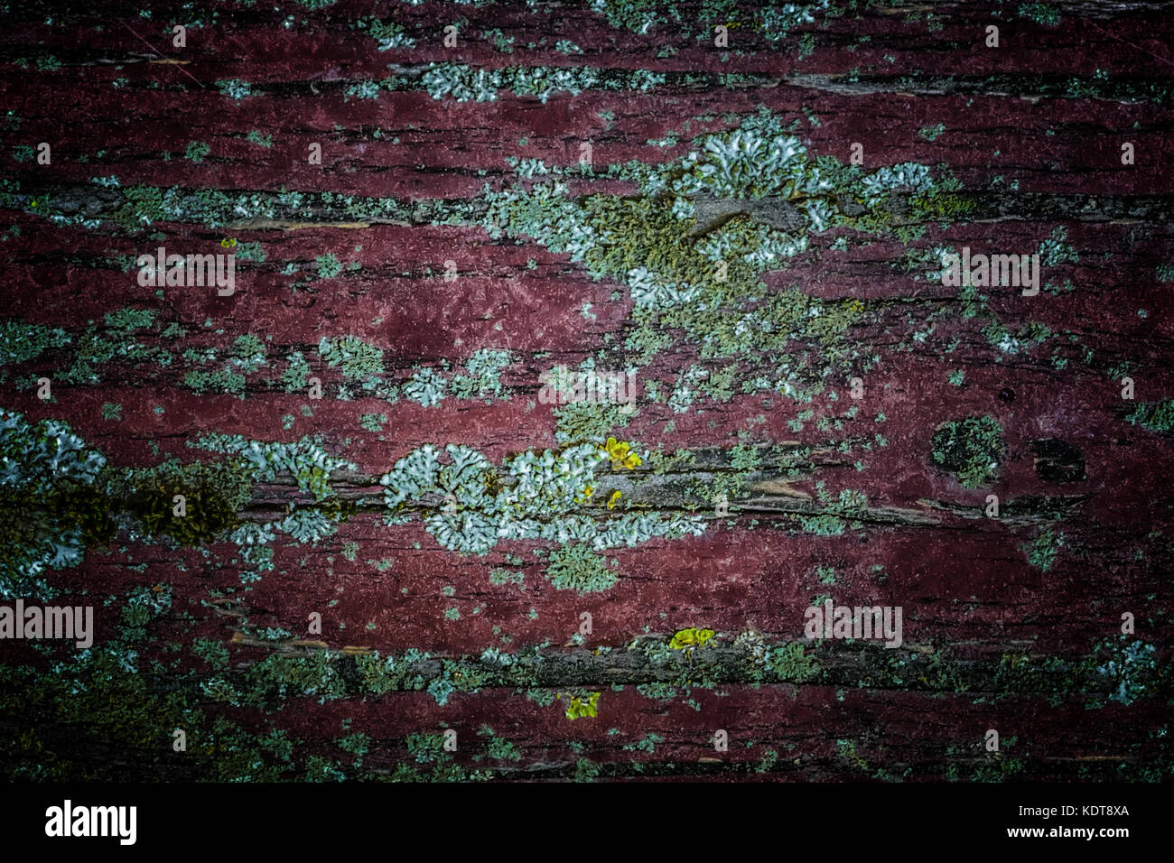 Very old, grunge, rustic wood texture with natural patterns and cracks ...