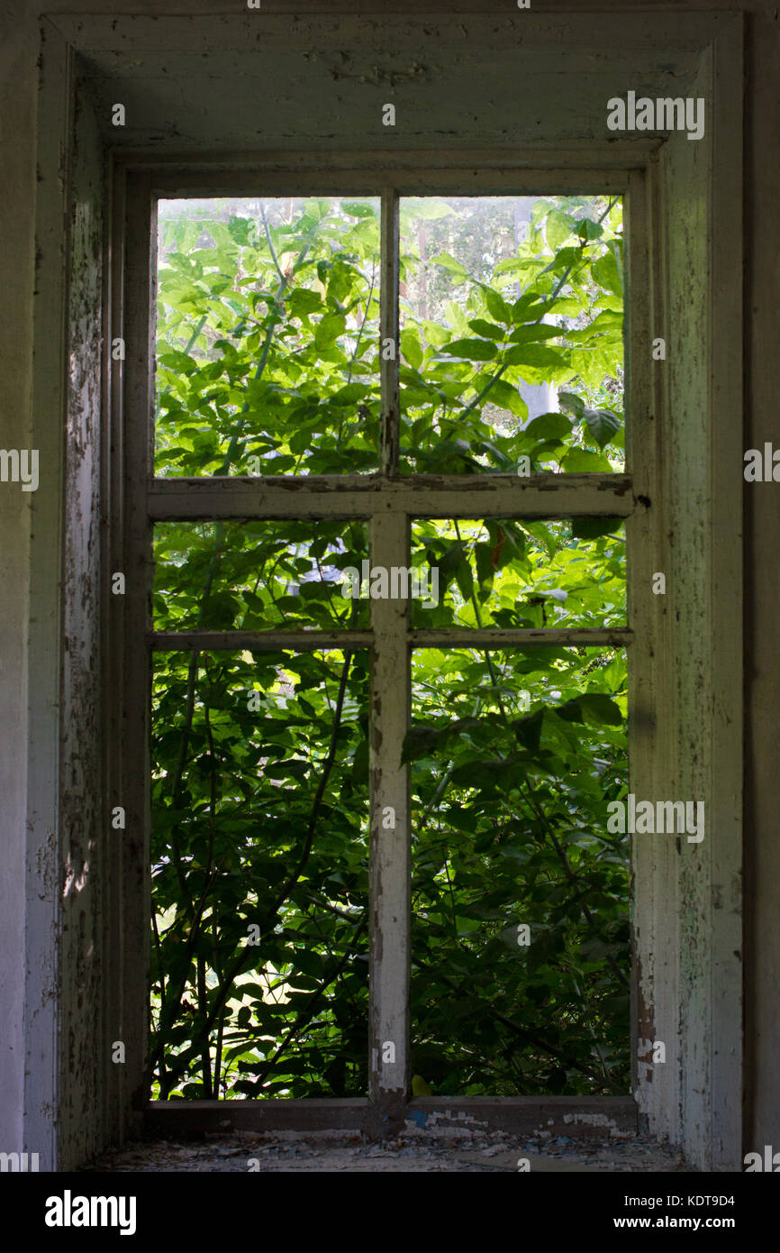Old window. Wood frame with glass Stock Photo - Alamy
