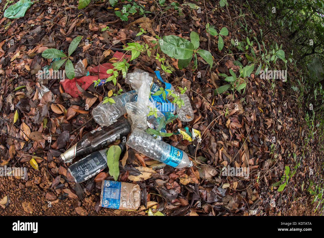 The image of Plastic garbage in western ghats, Maharashtra,India Stock ...