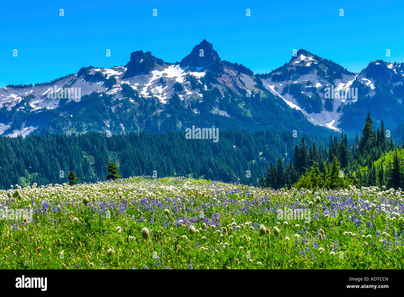 Tatoosh mountains hi-res stock photography and images - Alamy