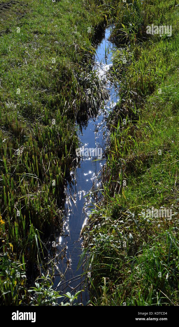shiny small river with sun reflections in autumn, rural Idyll in ...