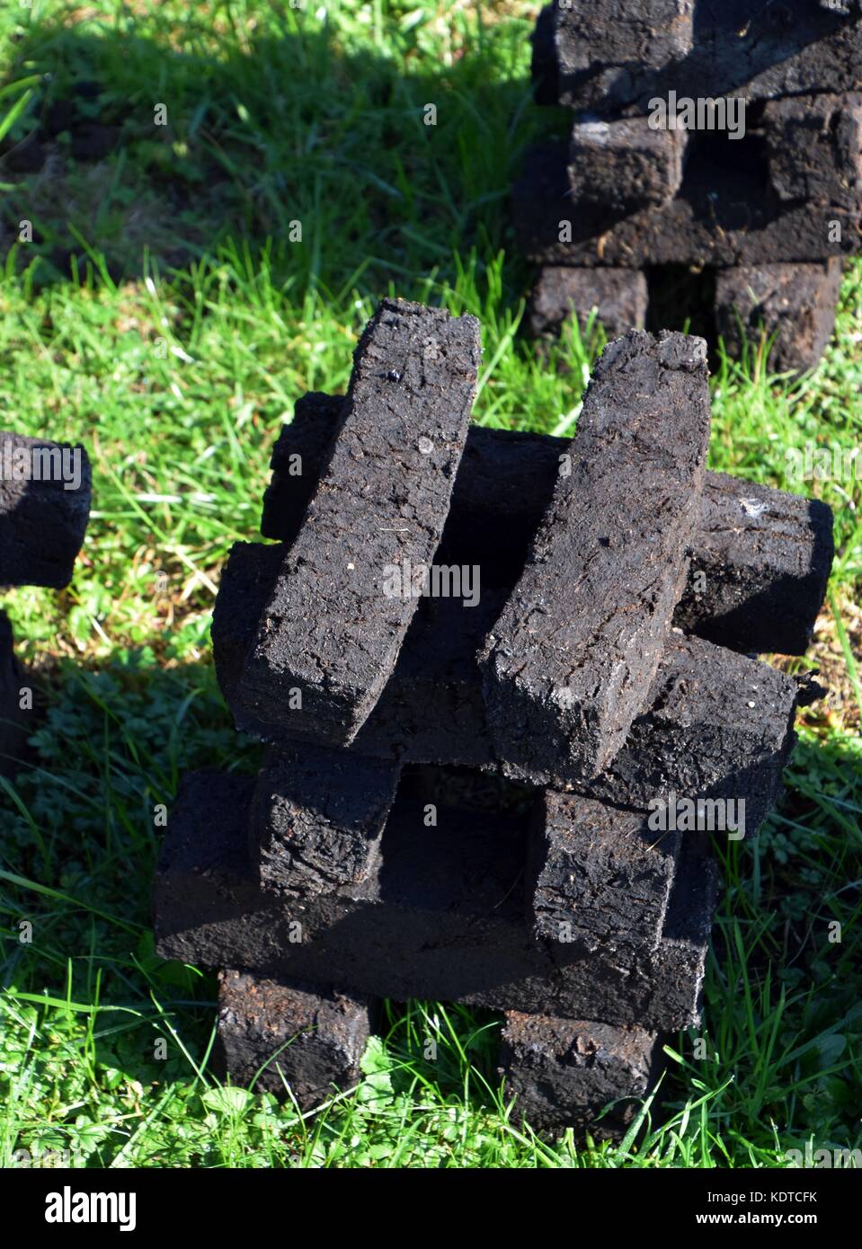 peat stacks in the autumn sun, harvesting the peat in bavaria, rural ...