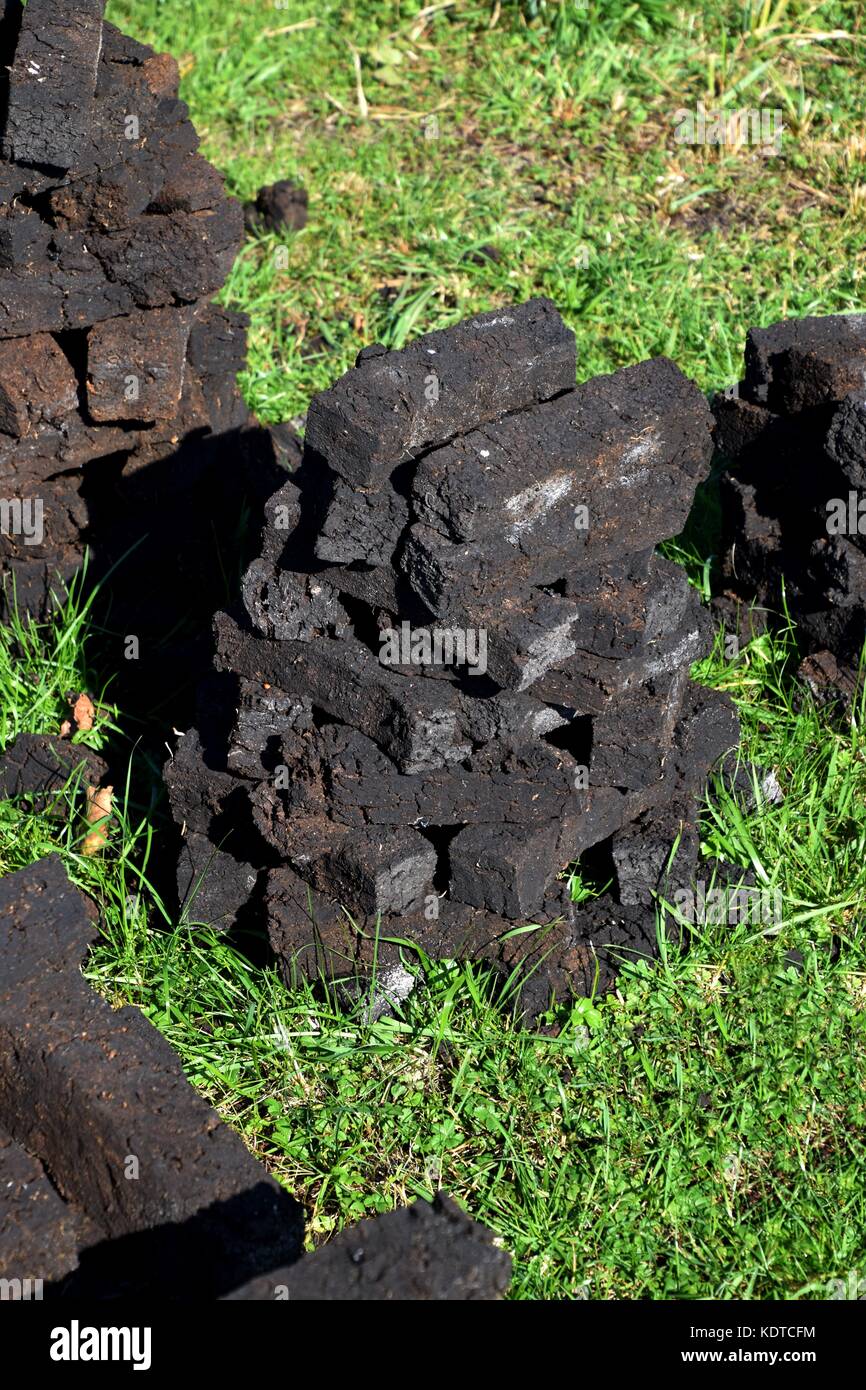 peat stacks in the autumn sun, harvesting the peat in bavaria, rural ...