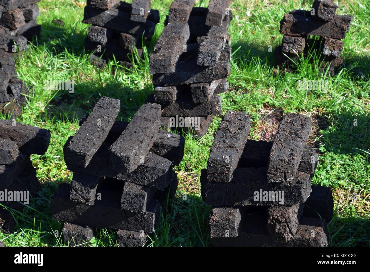 peat stacks in the autumn sun, harvesting the peat in bavaria, rural ...