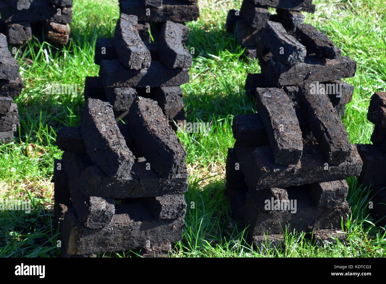 peat stacks in the autumn sun, harvesting the peat in bavaria, rural ...