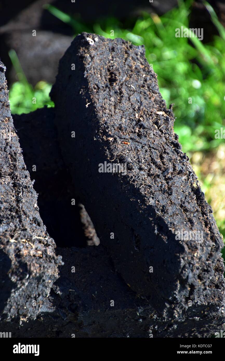 peat stacks in the autumn sun, harvesting the peat in bavaria, rural ...